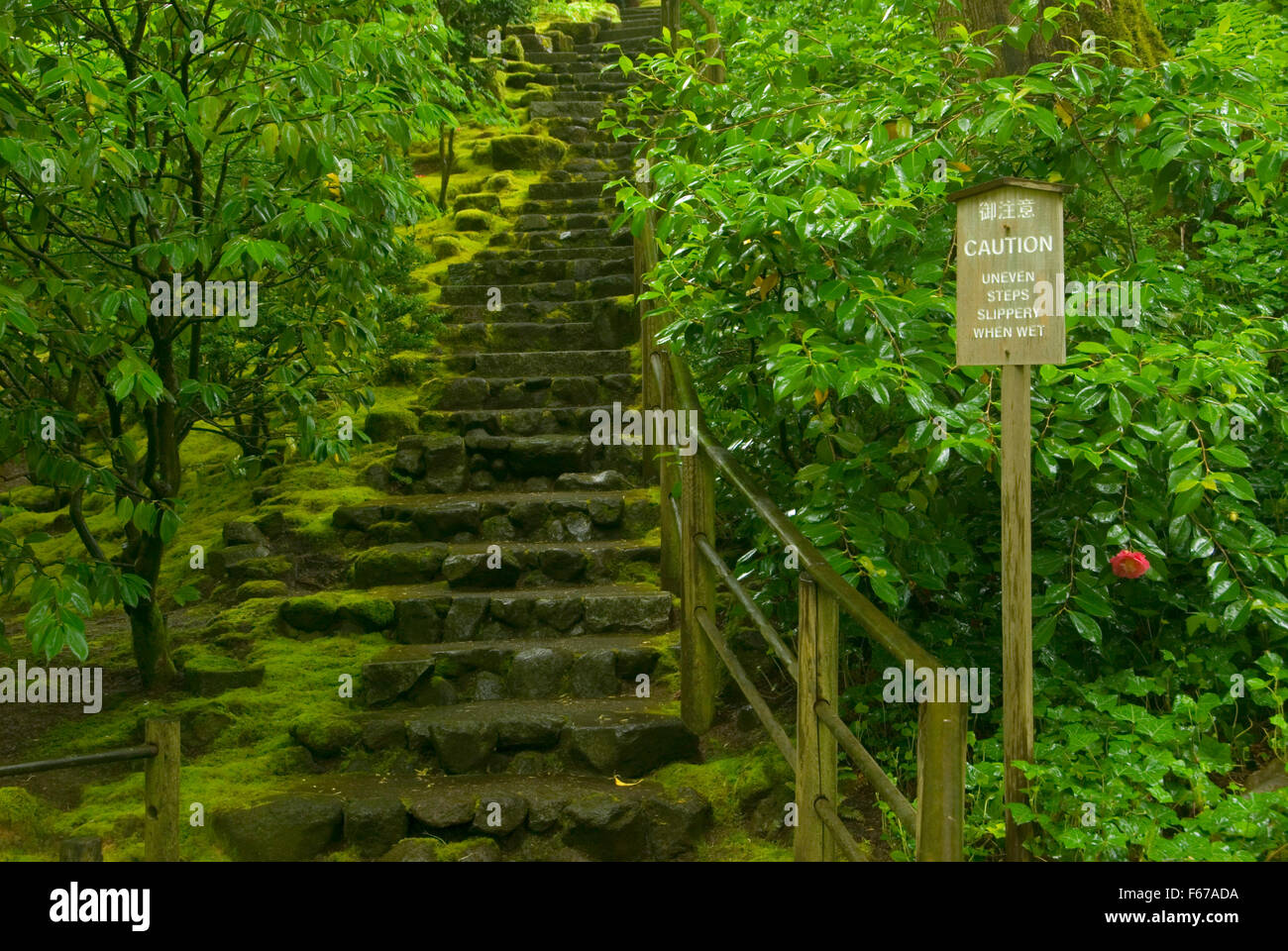 Natural Garden stairway, Portland Japanese Garden, Washington Park ...