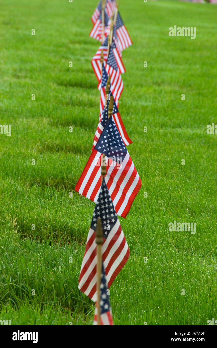 Memorial Day flags on graves, Willamette National Cemetery, Portland ...