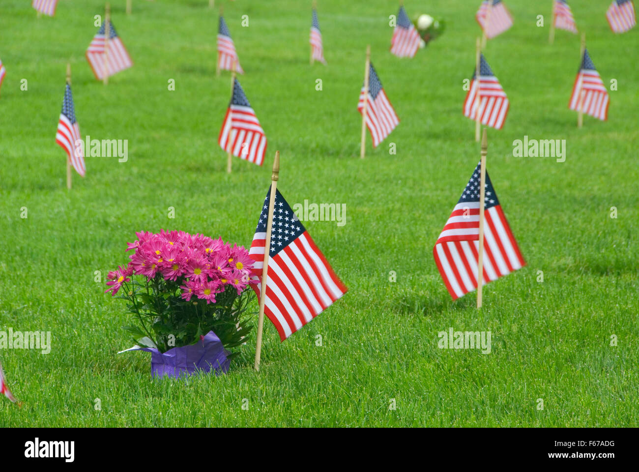 Memorial Day flags on graves, Willamette National Cemetery, Portland ...