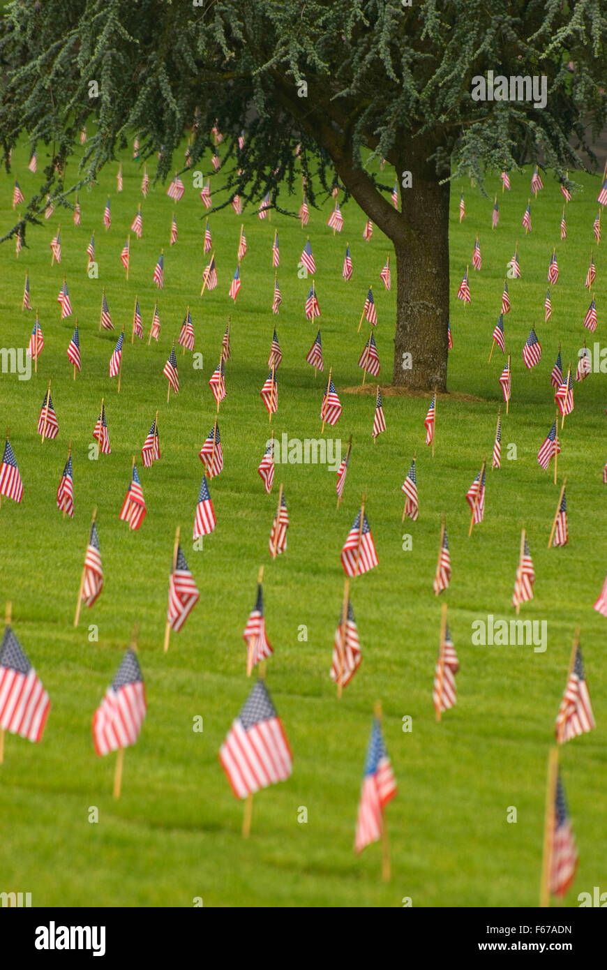 Memorial Day flags on graves, Willamette National Cemetery, Portland ...