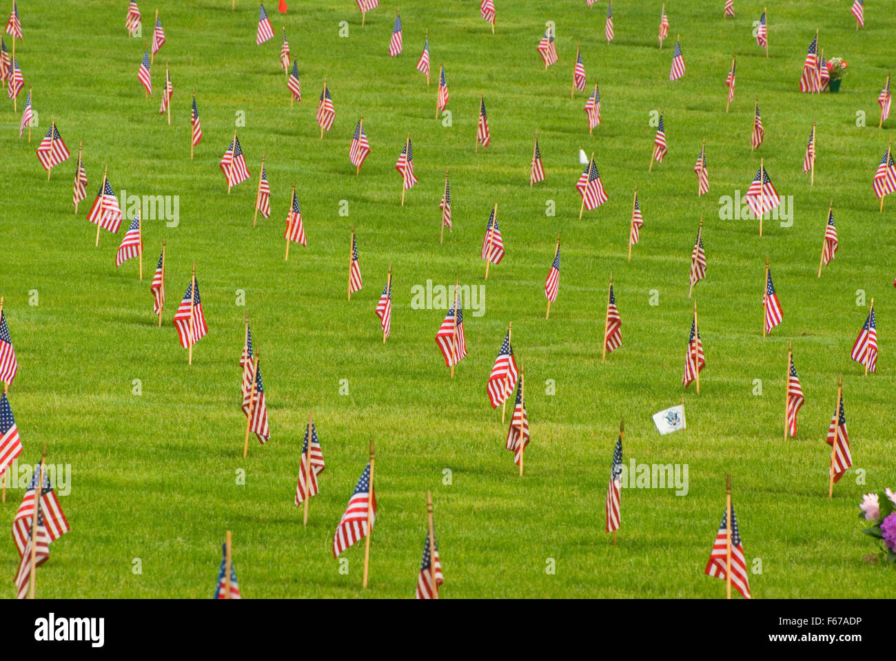 Memorial Day flags on graves, Willamette National Cemetery, Portland ...