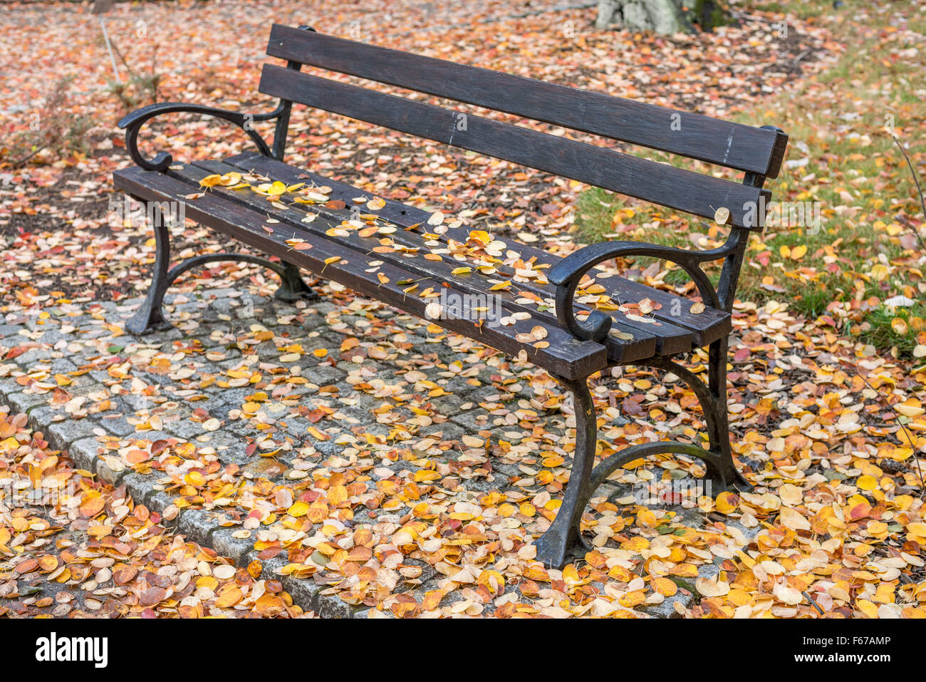 Lonely park bench in fallen autumn leaves Stock Photo - Alamy