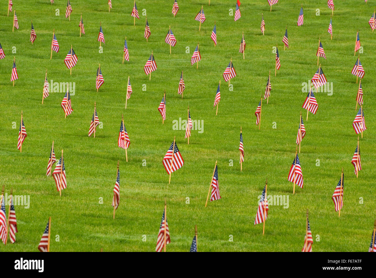 Memorial Day flags on graves, Willamette National Cemetery, Portland ...