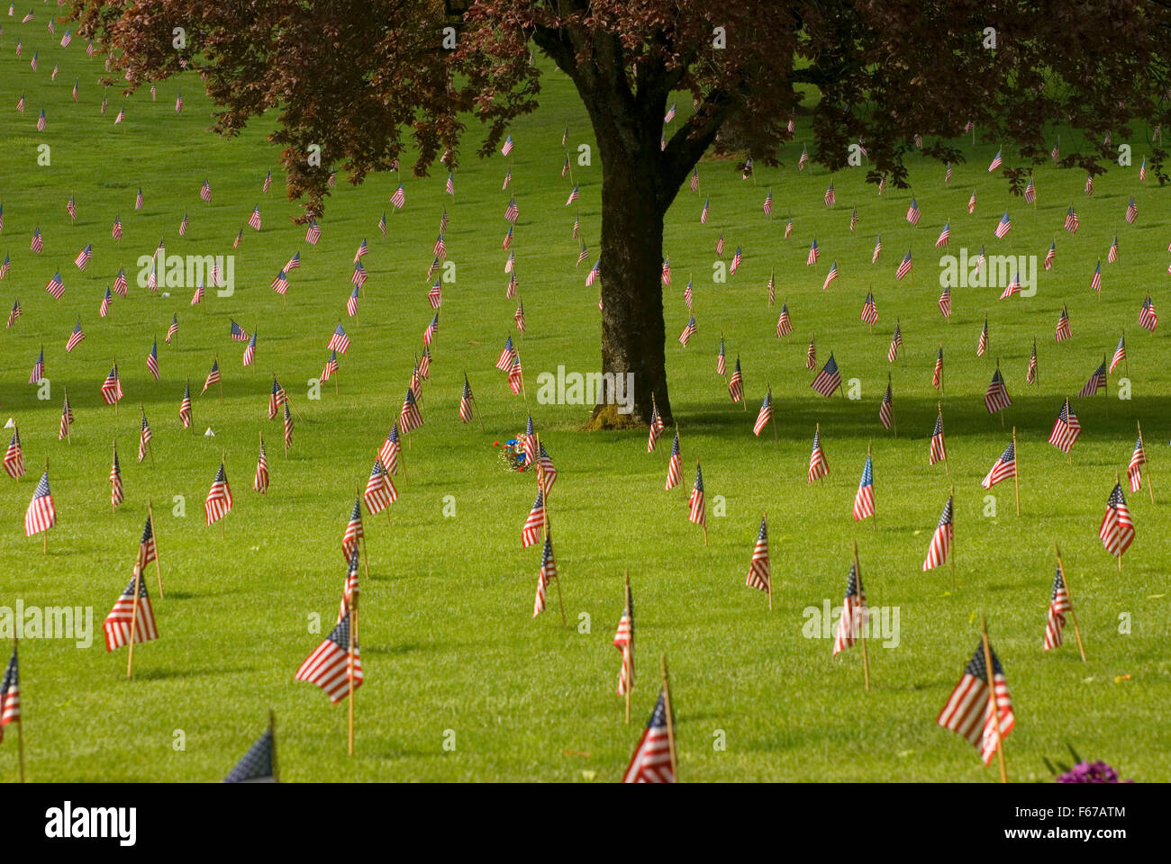 Memorial Day flags on graves, Willamette National Cemetery, Portland ...