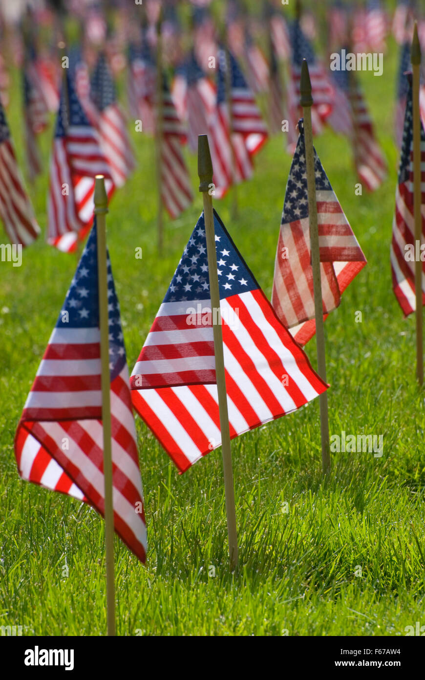 Memorial Day flags on graves, Willamette National Cemetery, Portland ...