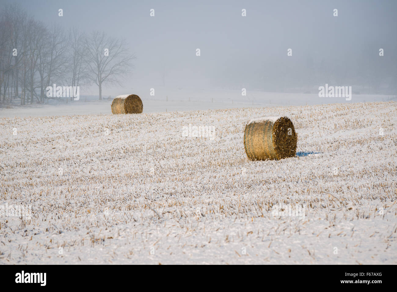 Hay bales in a New Jersey field in the winter with snow on the ground ...