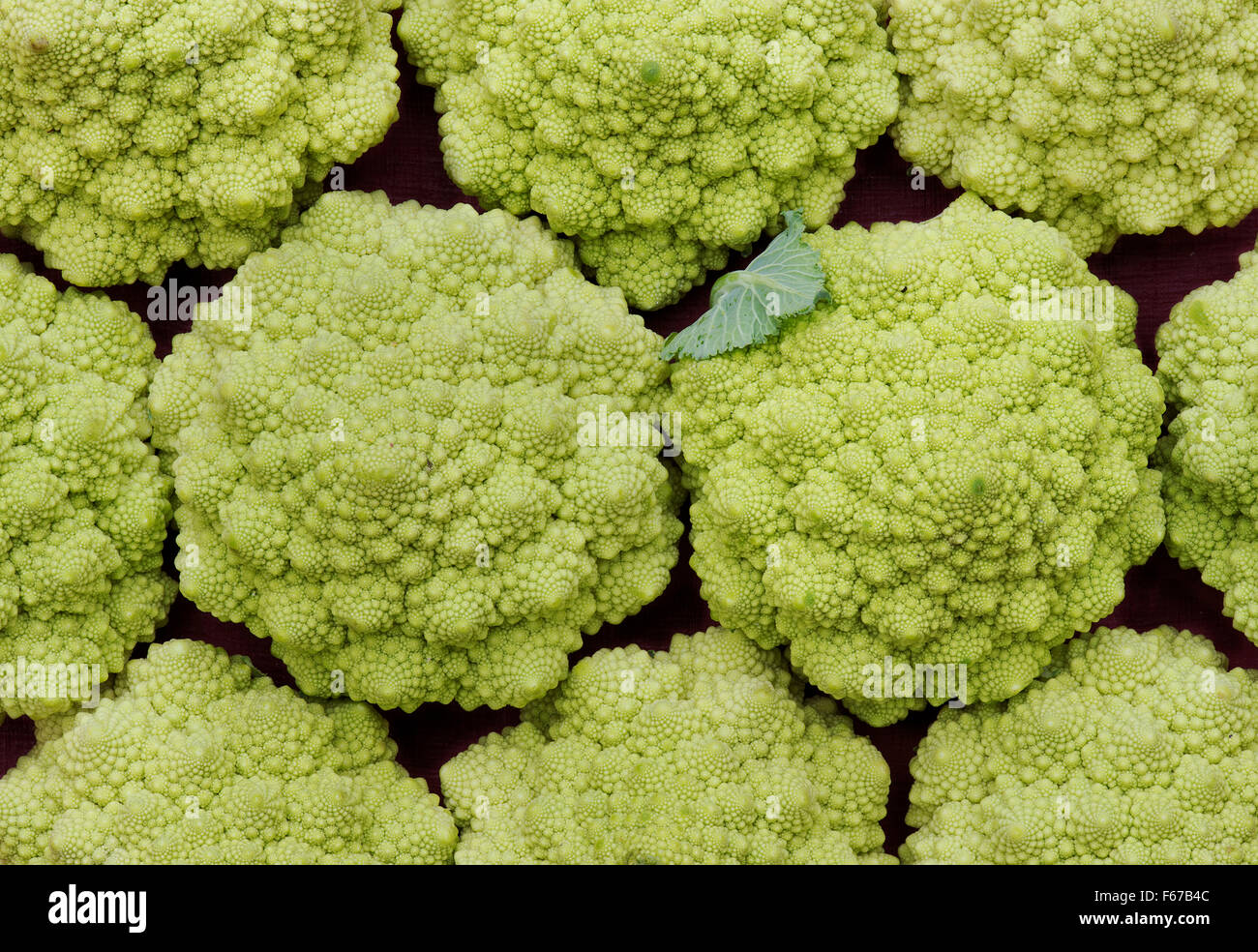 Fractal romanesco hi-res stock photography and images - Alamy