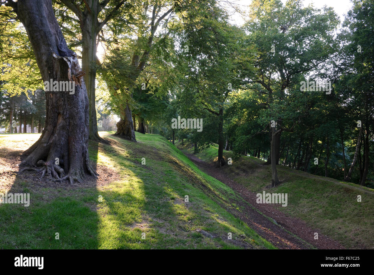 Looking W into V-shaped ditch (vallum) of the Roman Antonine Wall E of ...