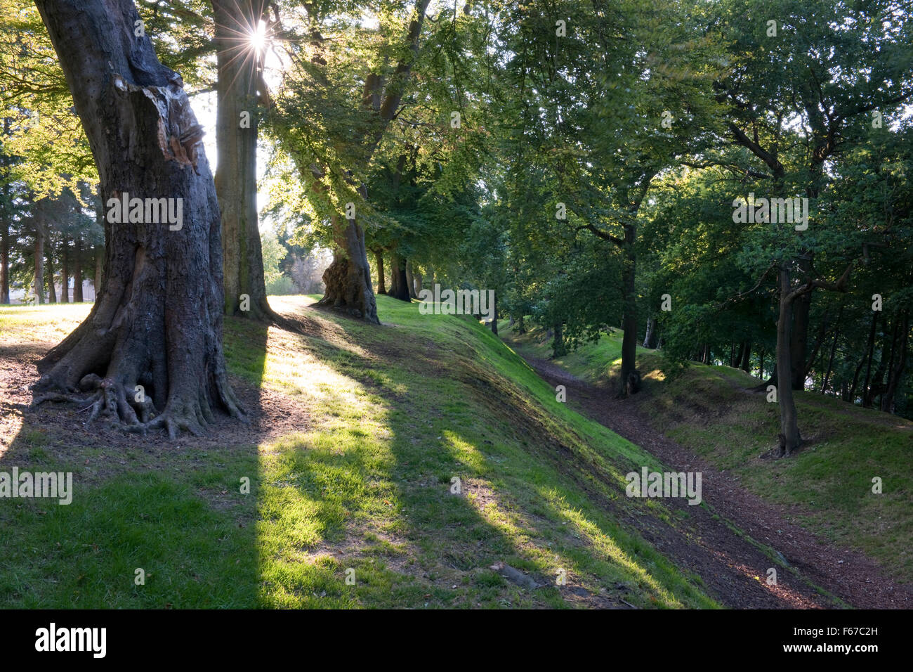 Looking W into V-shaped ditch (vallum) of the Roman Antonine Wall E of ...