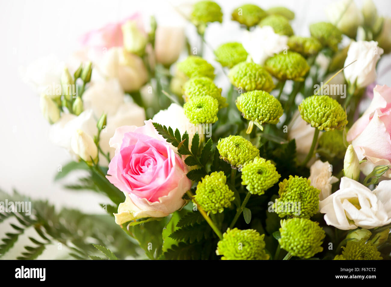 Ledervaren hi-res stock photography and images - Alamy