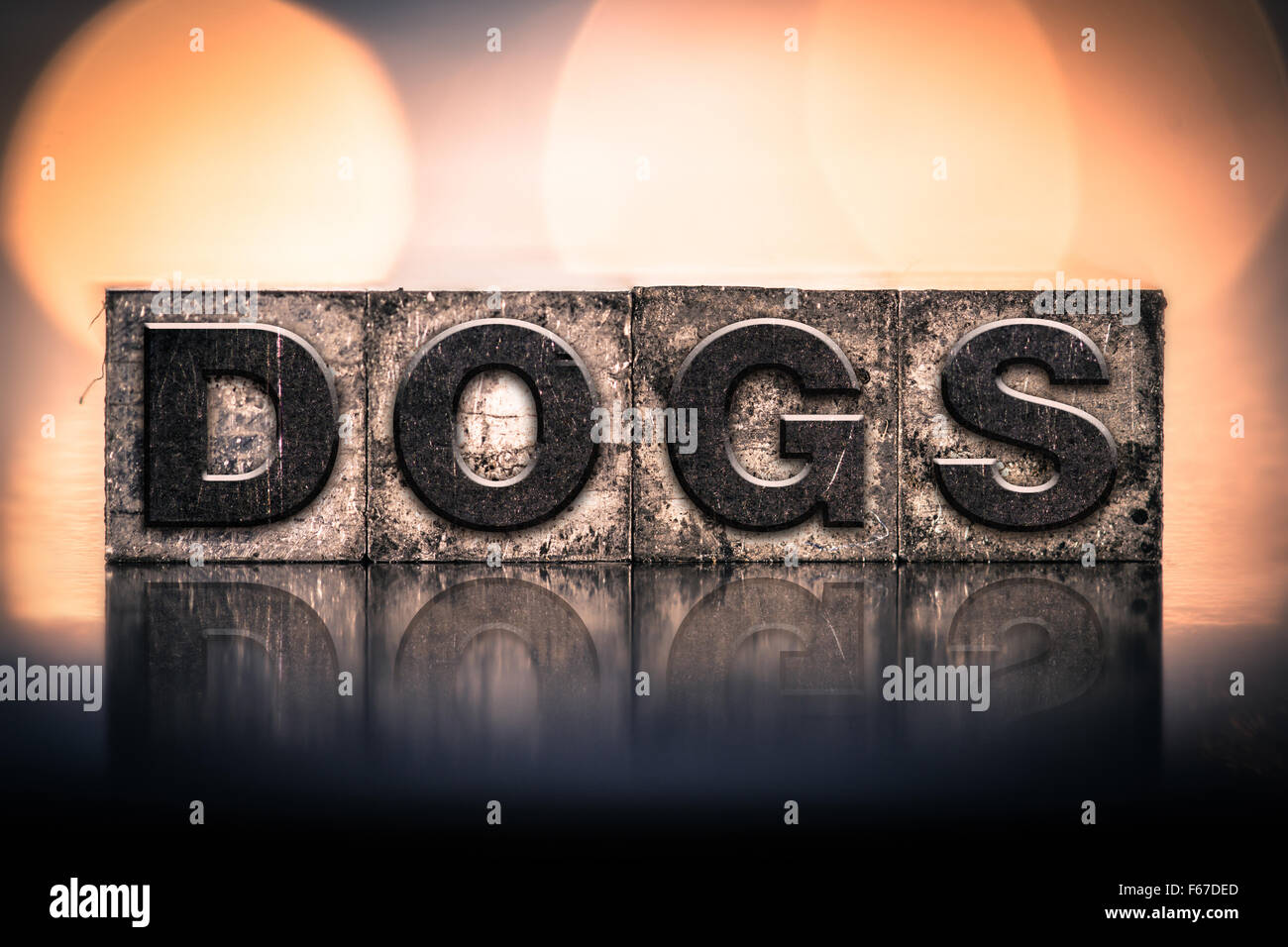 The word "DOGS" written in vintage ink stained letterpress type Stock ...