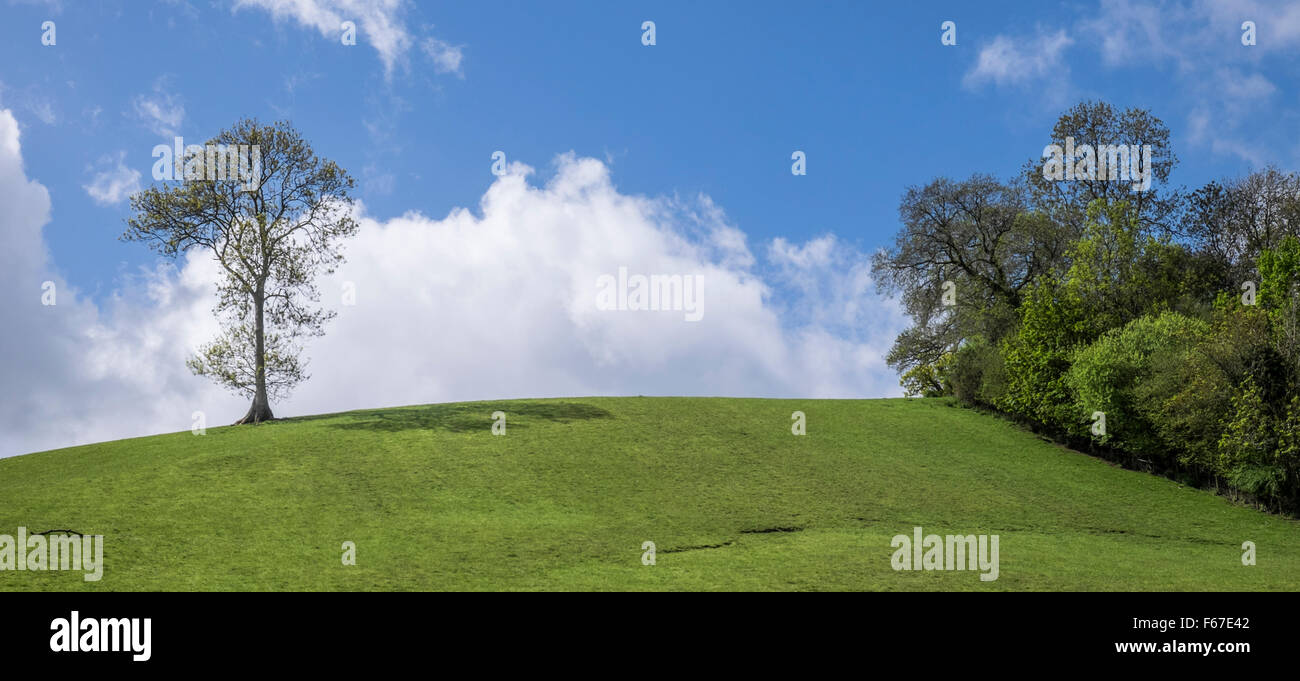 Hill sunny hi-res stock photography and images - Alamy