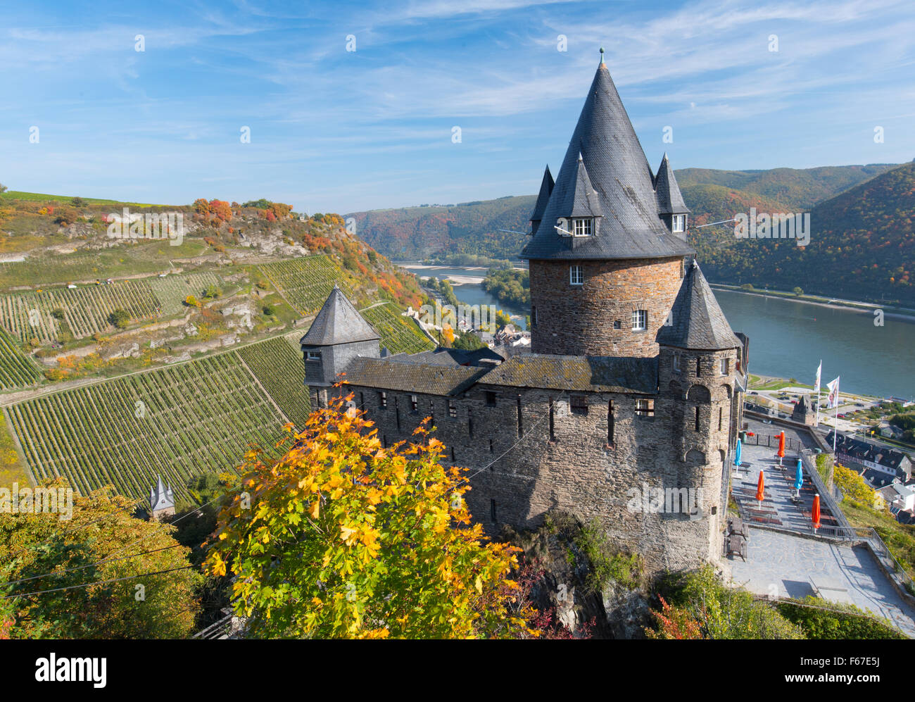Bacharach, Burg Stahleck castle, vineyards, Rhine valley Stock Photo ...