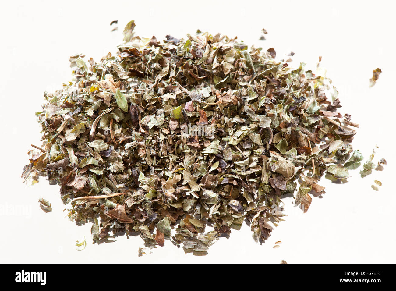 Green dry Melissa officinalis or lemon balm or balm mint, herbal tea ...