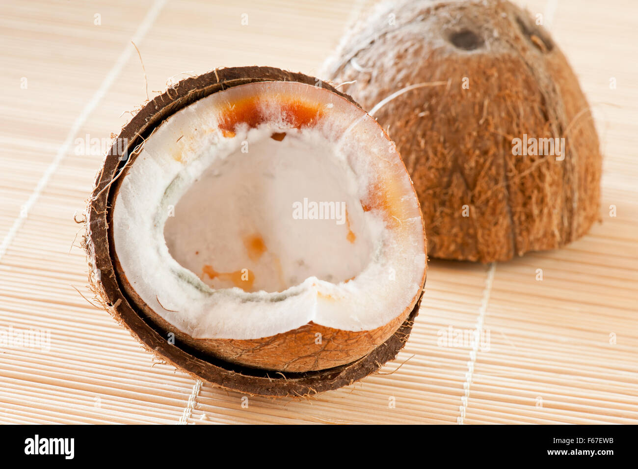 Waste coconut shells hi-res stock photography and images - Alamy