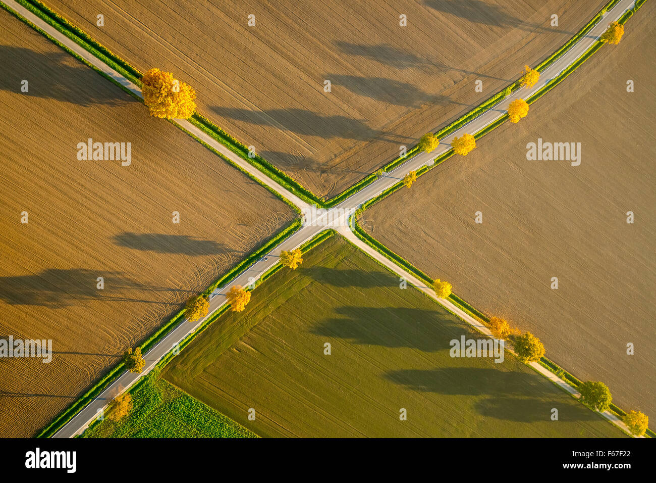 Street crossing in X-shape, Allee in X-shape, X, right-angled ...