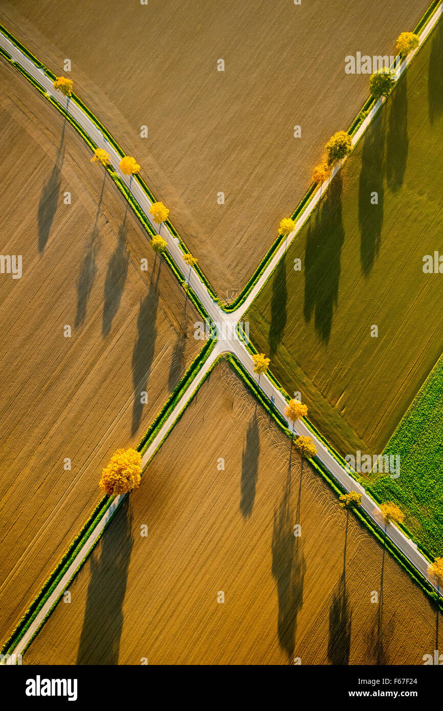 Street crossing in X-shape, Allee in X-shape, X, right-angled ...