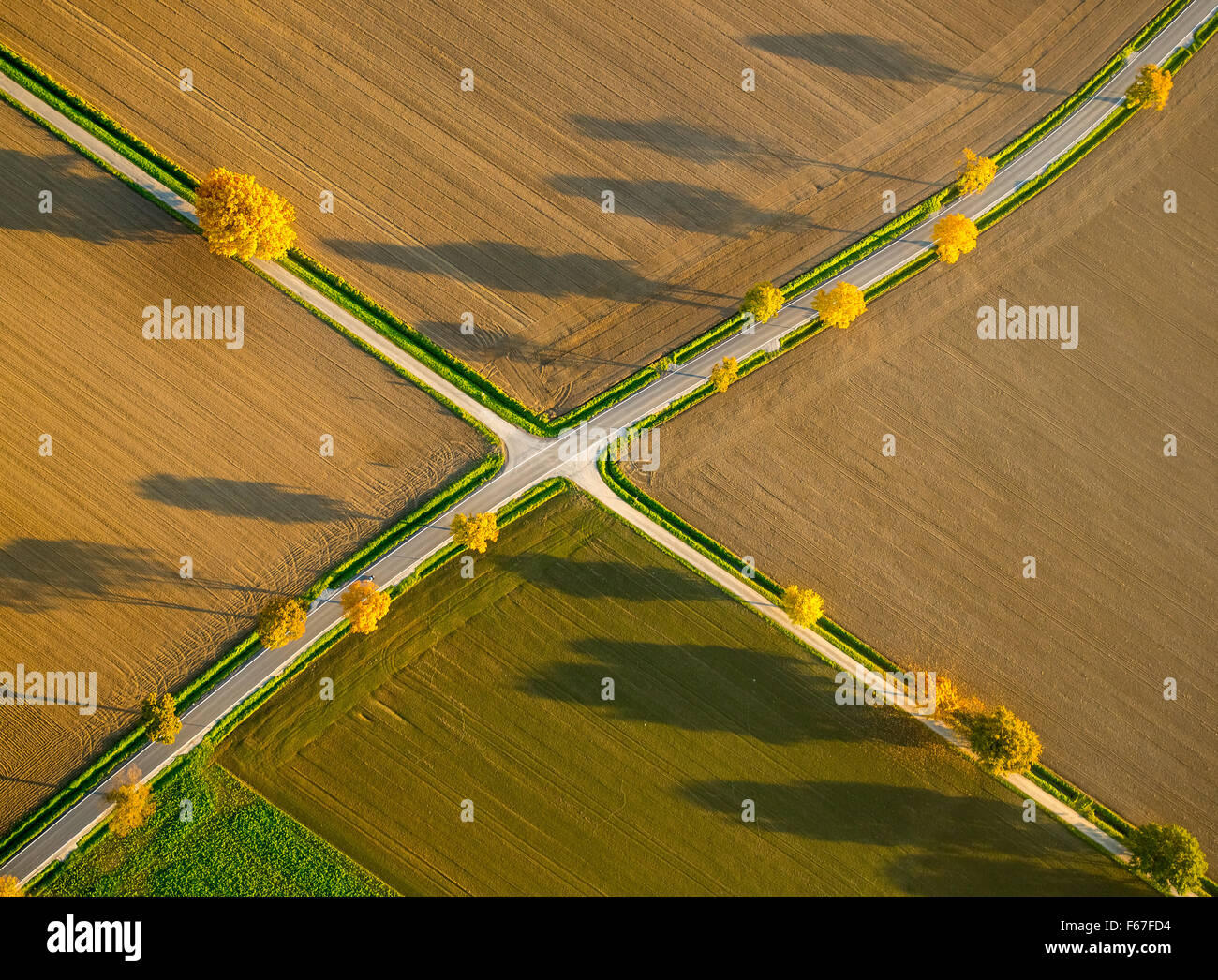 Street crossing in X-shape, Allee in X-shape, X, right-angled ...