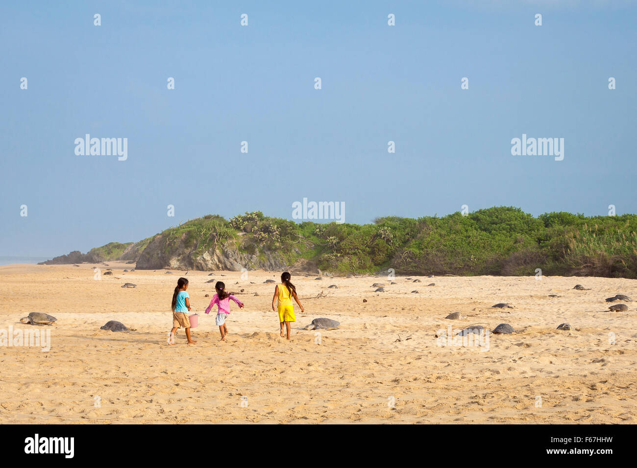 Indigenous ecotourism hi-res stock photography and images - Alamy