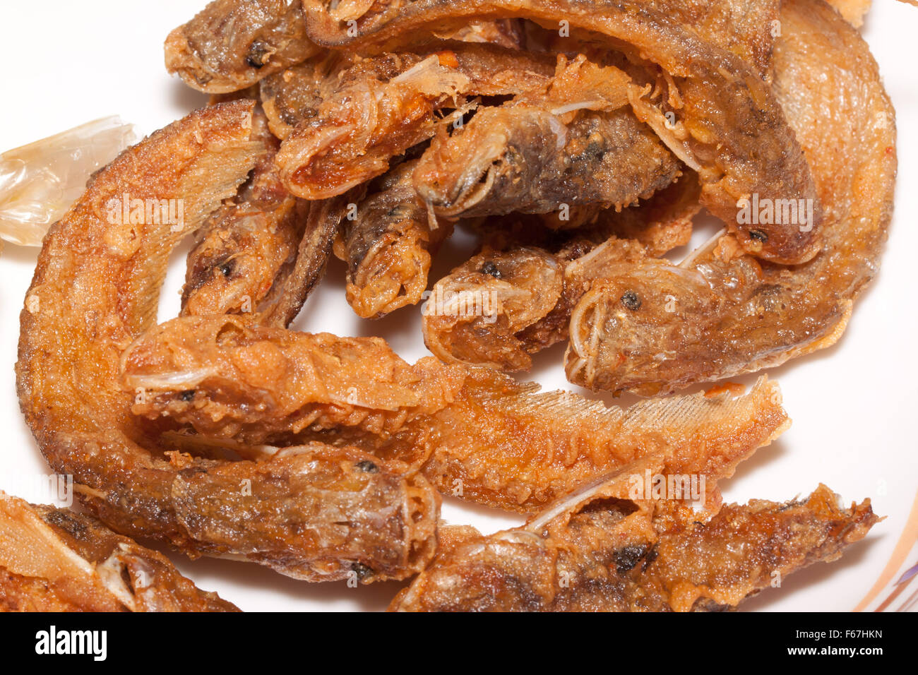 Side profile of fish hi-res stock photography and images - Alamy