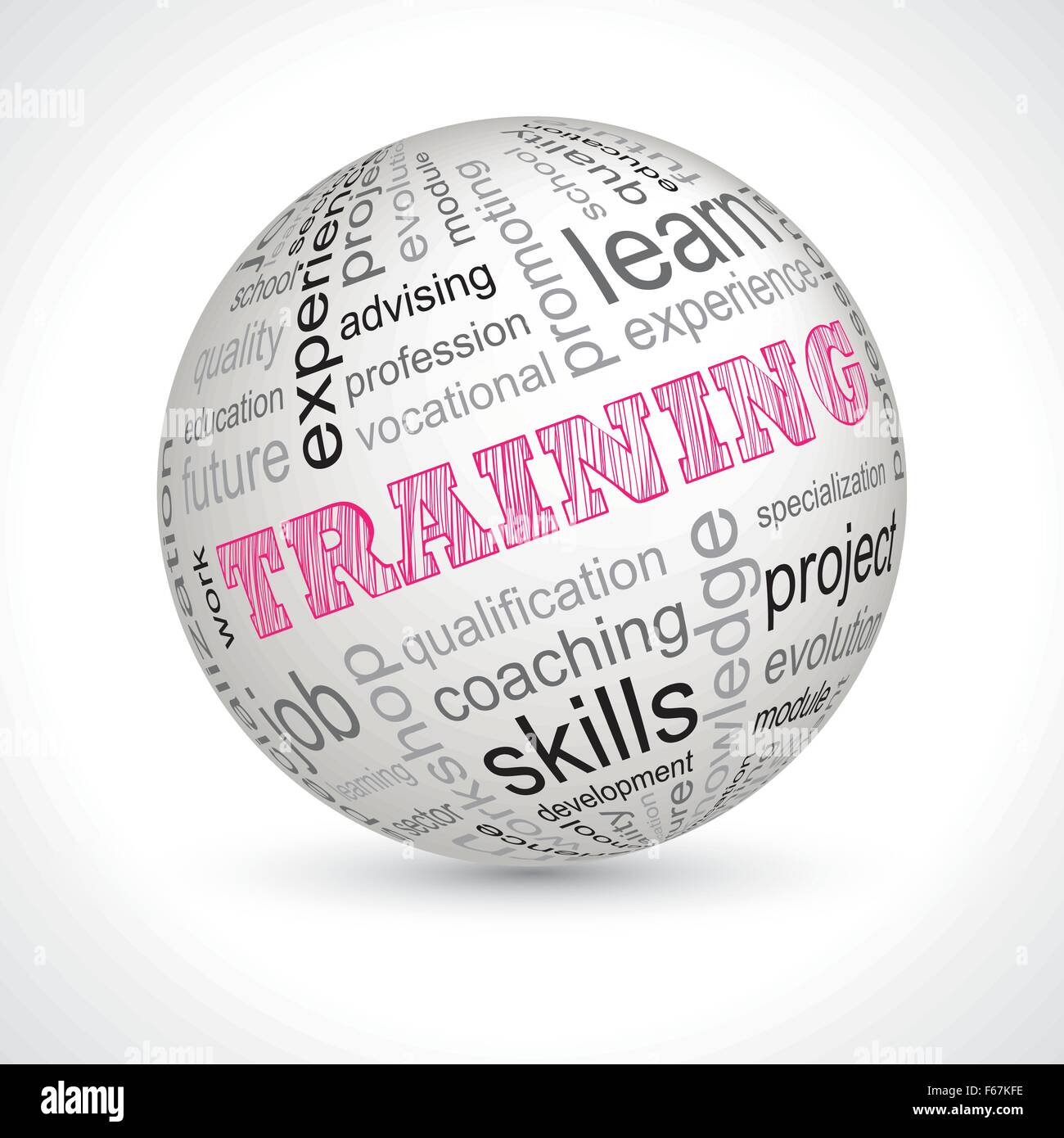Training theme sphere with keywords full vector Stock Vector Image ...