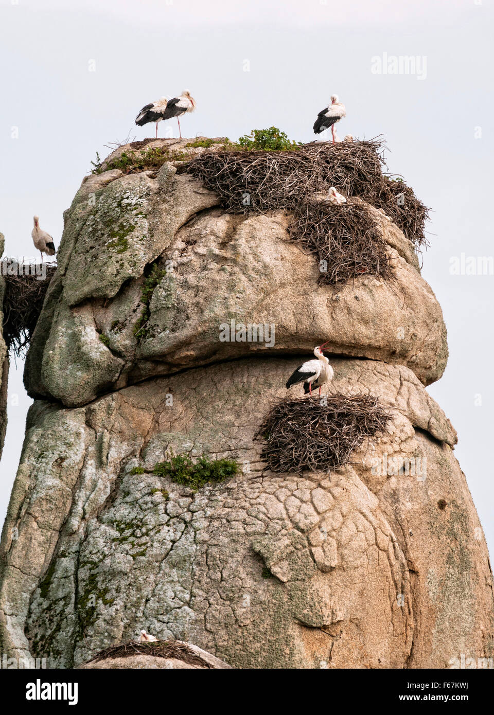 Los Barruecos High Resolution Stock Photography and Images - Alamy