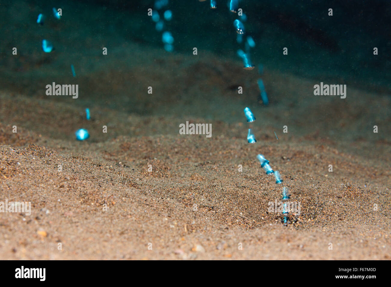 Volcanic Gas Bubbles, Komodo National Park, Indonesia Stock Photo - Alamy