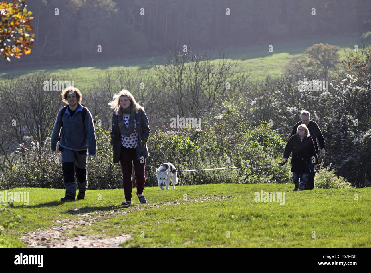 Newlands corner walk hi-res stock photography and images - Alamy