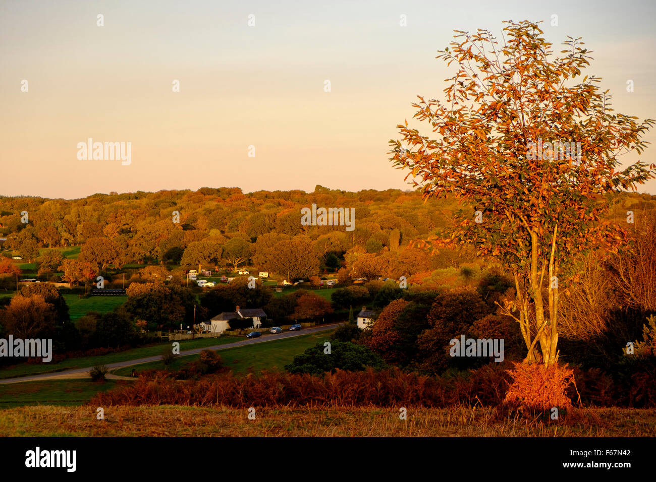 Linwood hi-res stock photography and images - Alamy