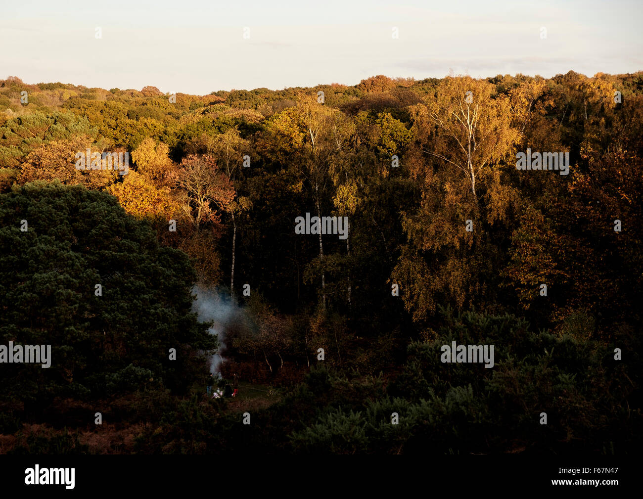 Linwood, New Forest, UK - 25 October 2015: Visitors gathered around a ...