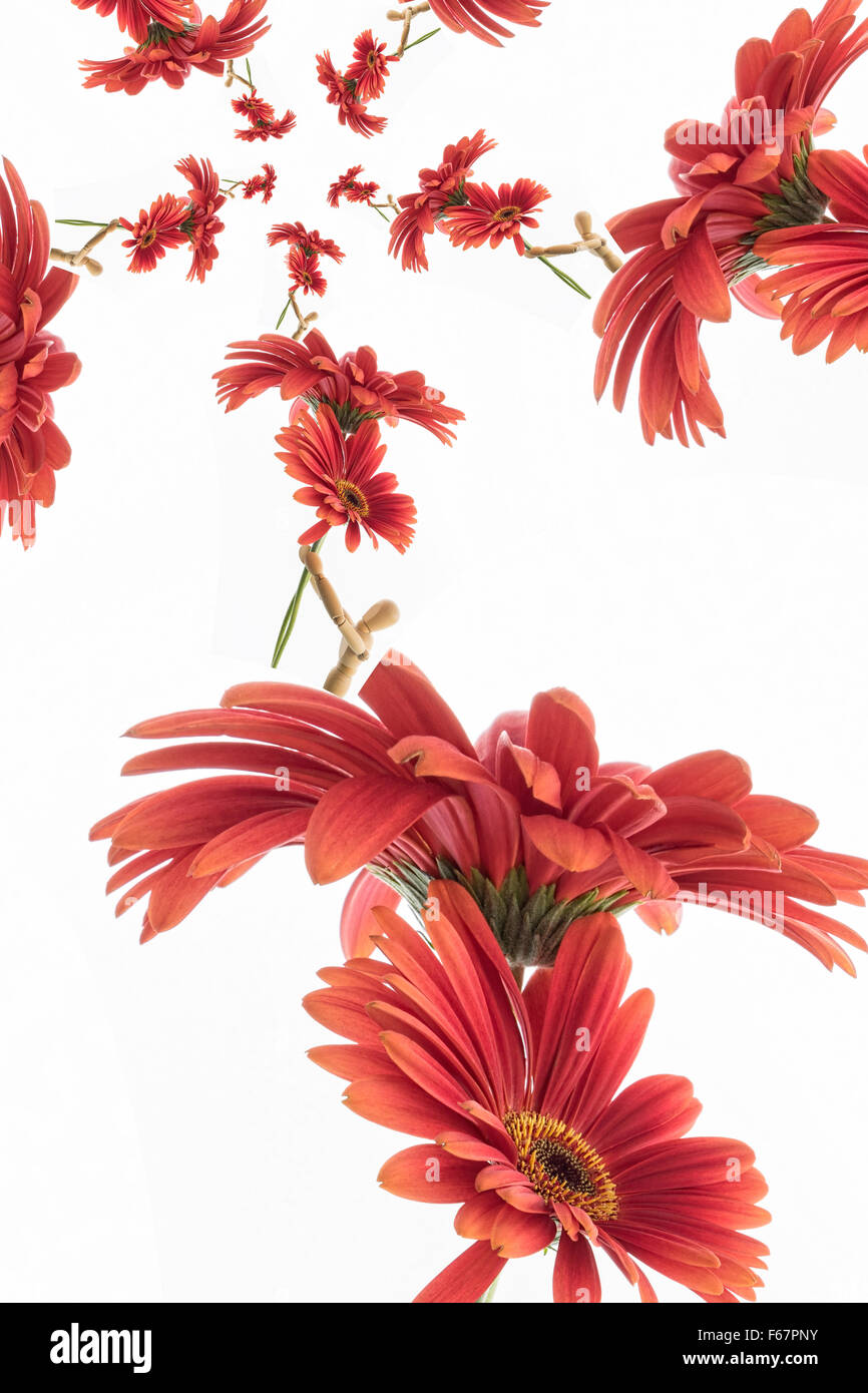 Artists Manikin High Resolution Stock Photography and Images - Alamy