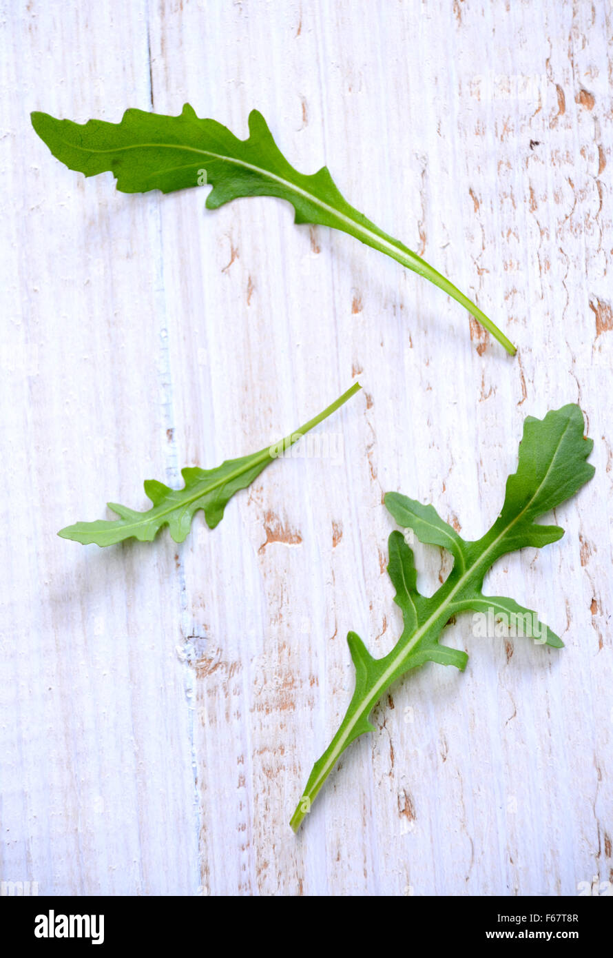 Fresh arugula / salad rocket / roquette / rucola leaves Stock Photo - Alamy