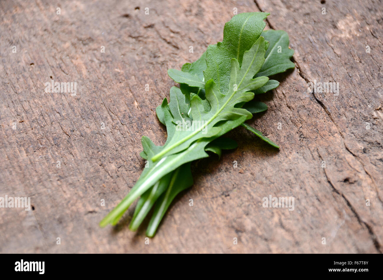 Fresh arugula / salad rocket / roquette / rucola leaves Stock Photo - Alamy