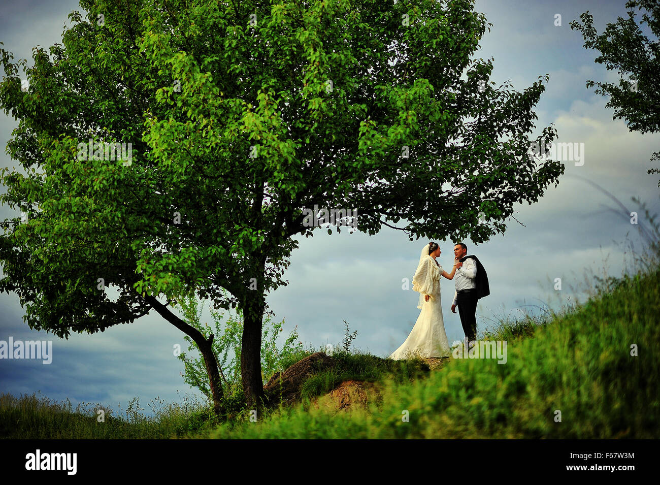 wedding couple under tree Stock Photo - Alamy