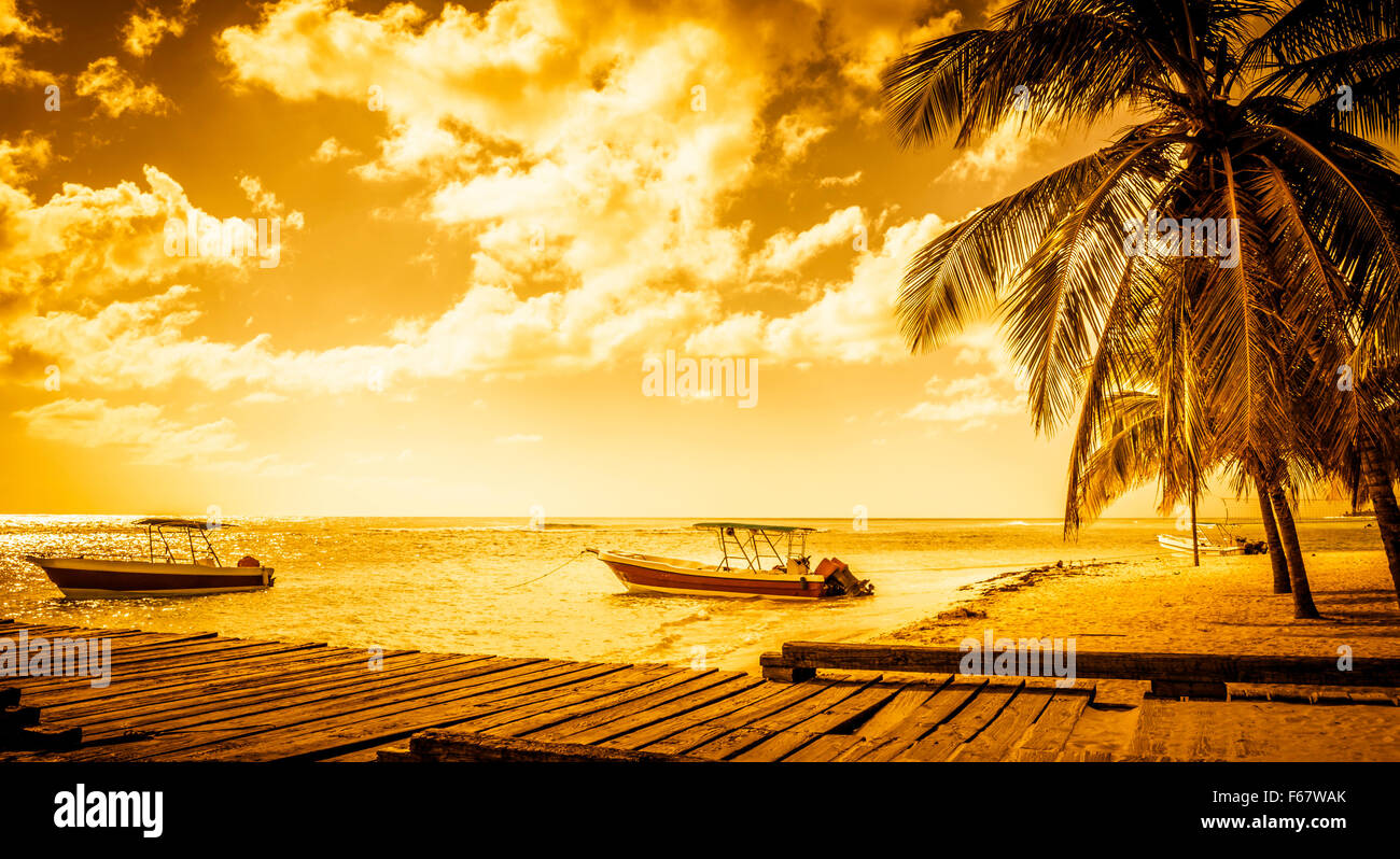 Beautiful golden caribbean beach, motor boats and wooden jetty Stock ...