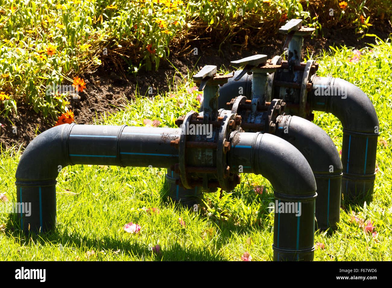 water pump in garden Stock Photo - Alamy