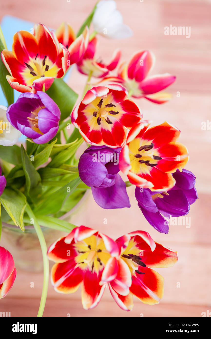 Close up view of flowers Stock Photo - Alamy