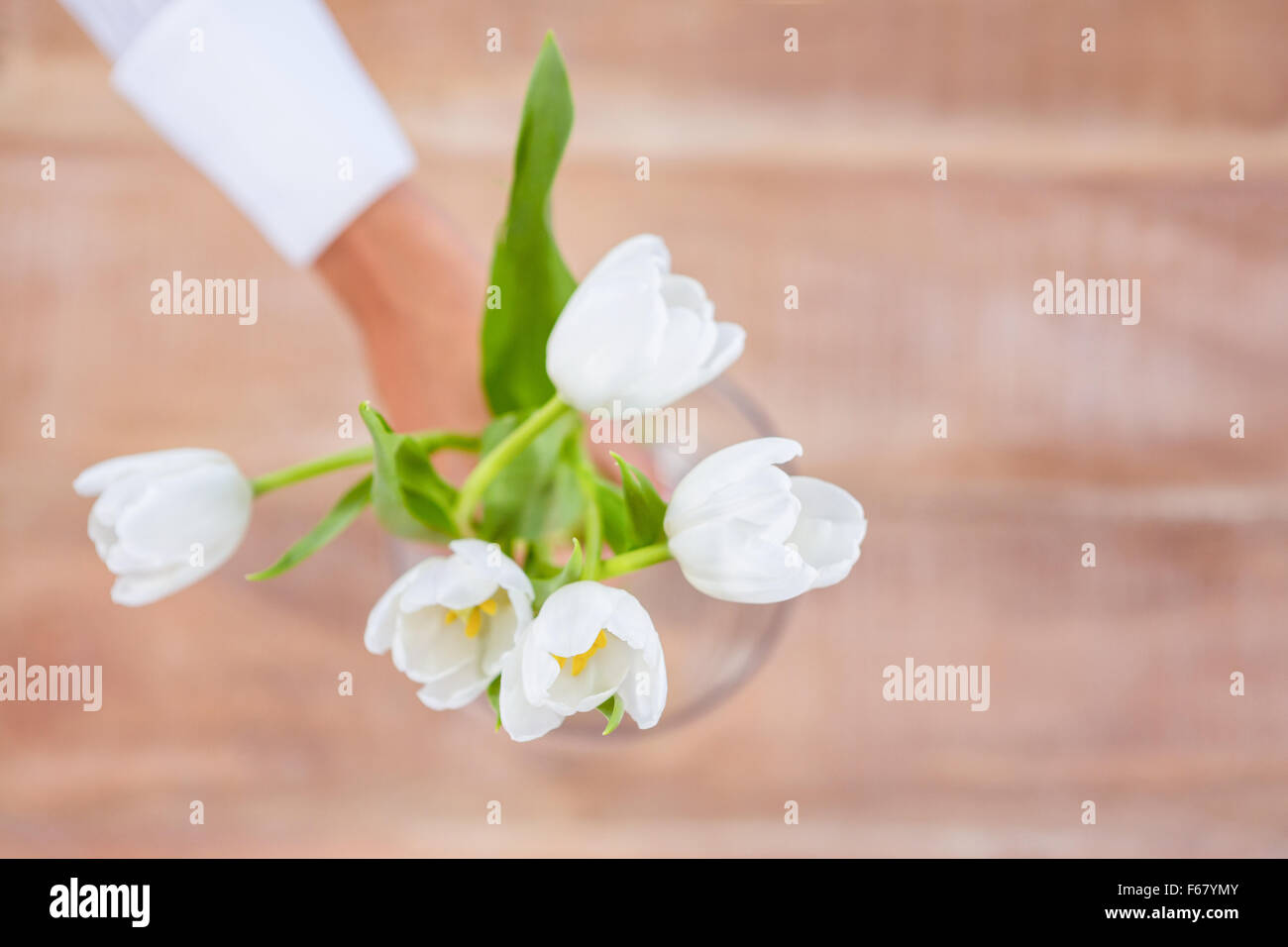 Putting flowers hi-res stock photography and images - Alamy