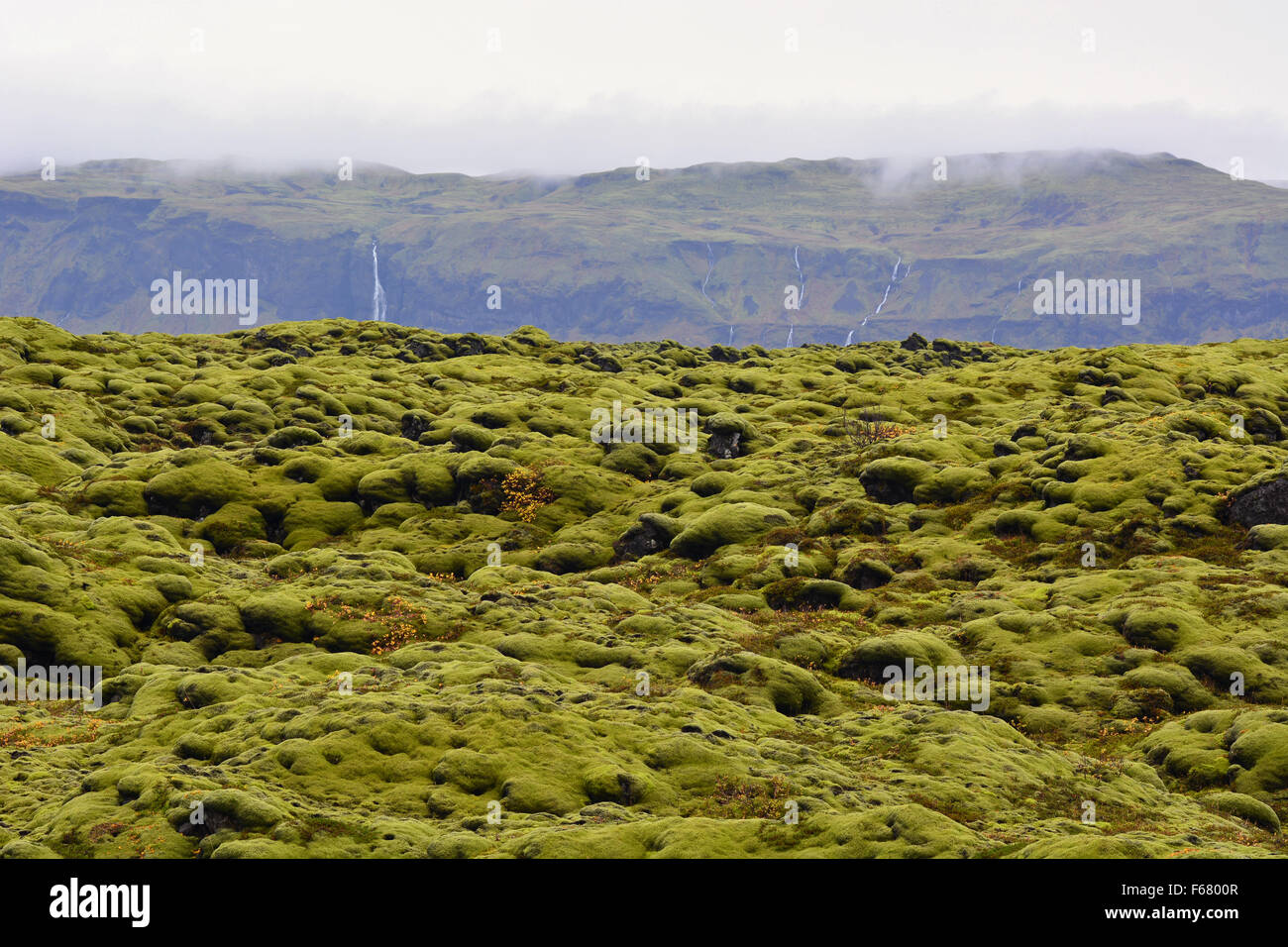 Distinctive moss covered lava, south Iceland Stock Photo - Alamy