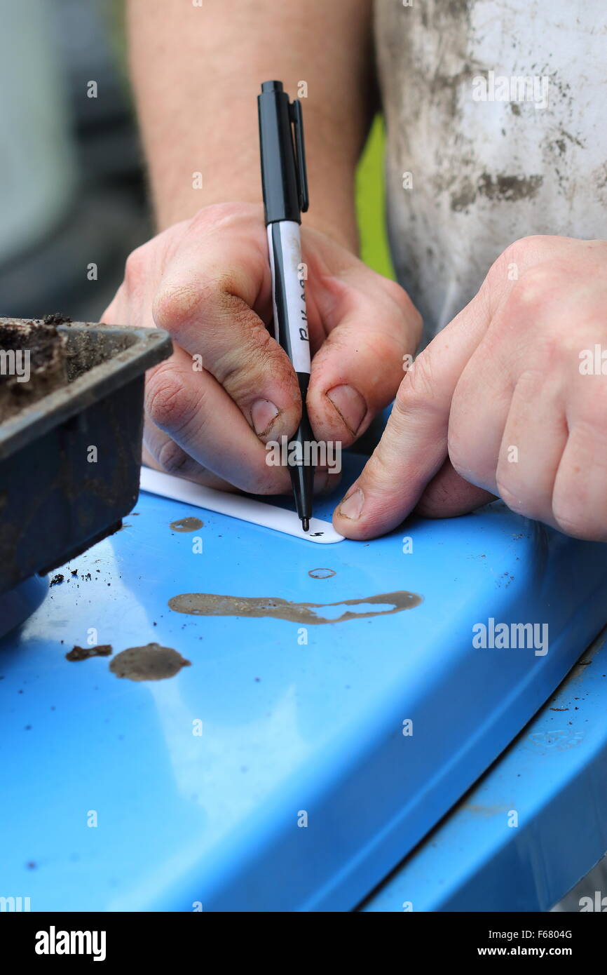 Male hands handwriting hi-res stock photography and images - Alamy