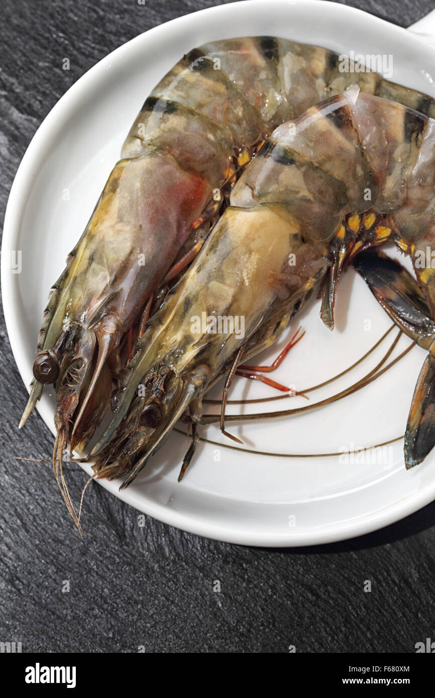 Raw unpeeled Giant Prawns in white china on a black slate background Stock Photo - Alamy