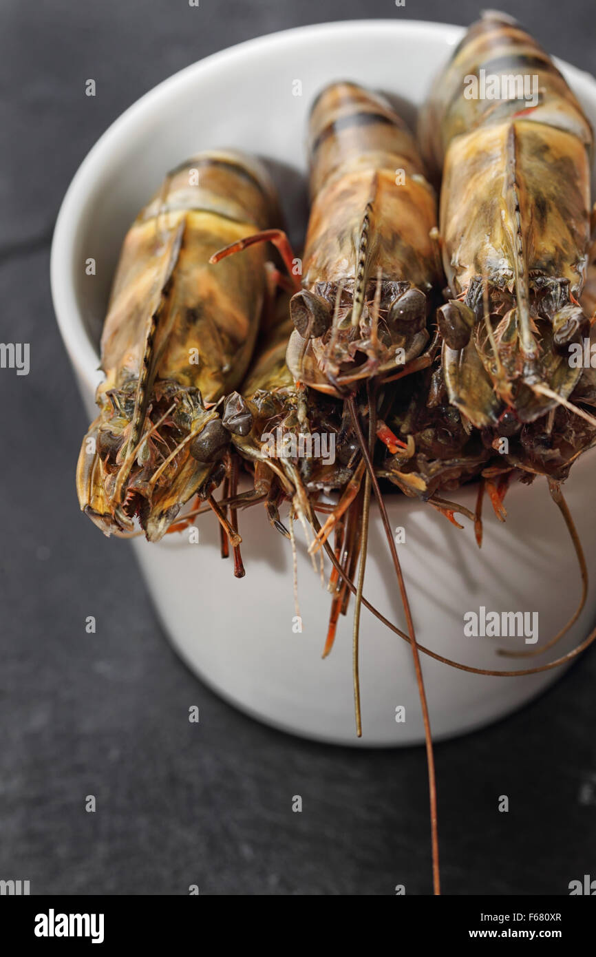Raw unpeeled Giant Prawns in white china on a black slate background Stock Photo - Alamy