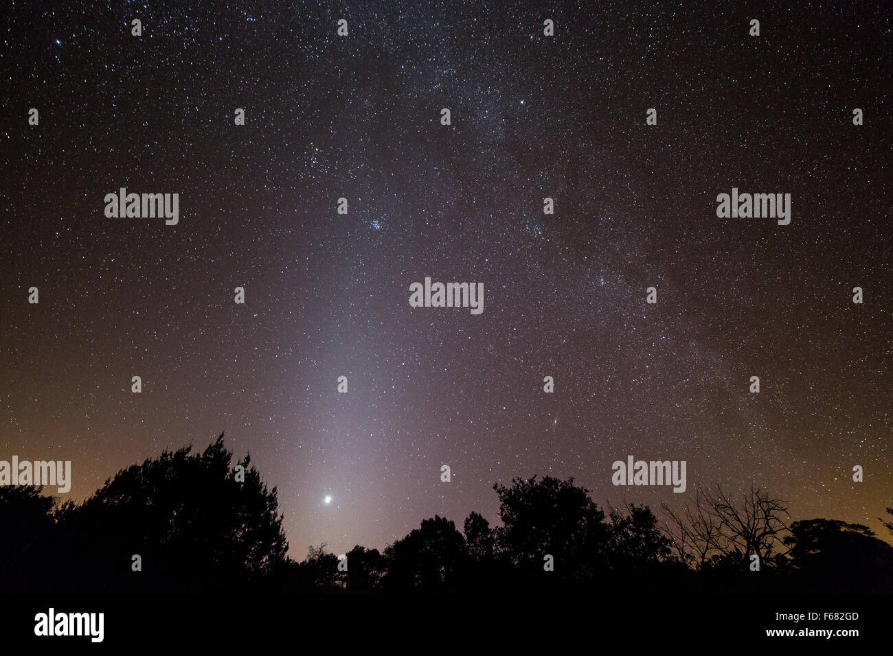 Venus, zodiacal light, and the Milky Way and Andromeda Galaxies shining ...