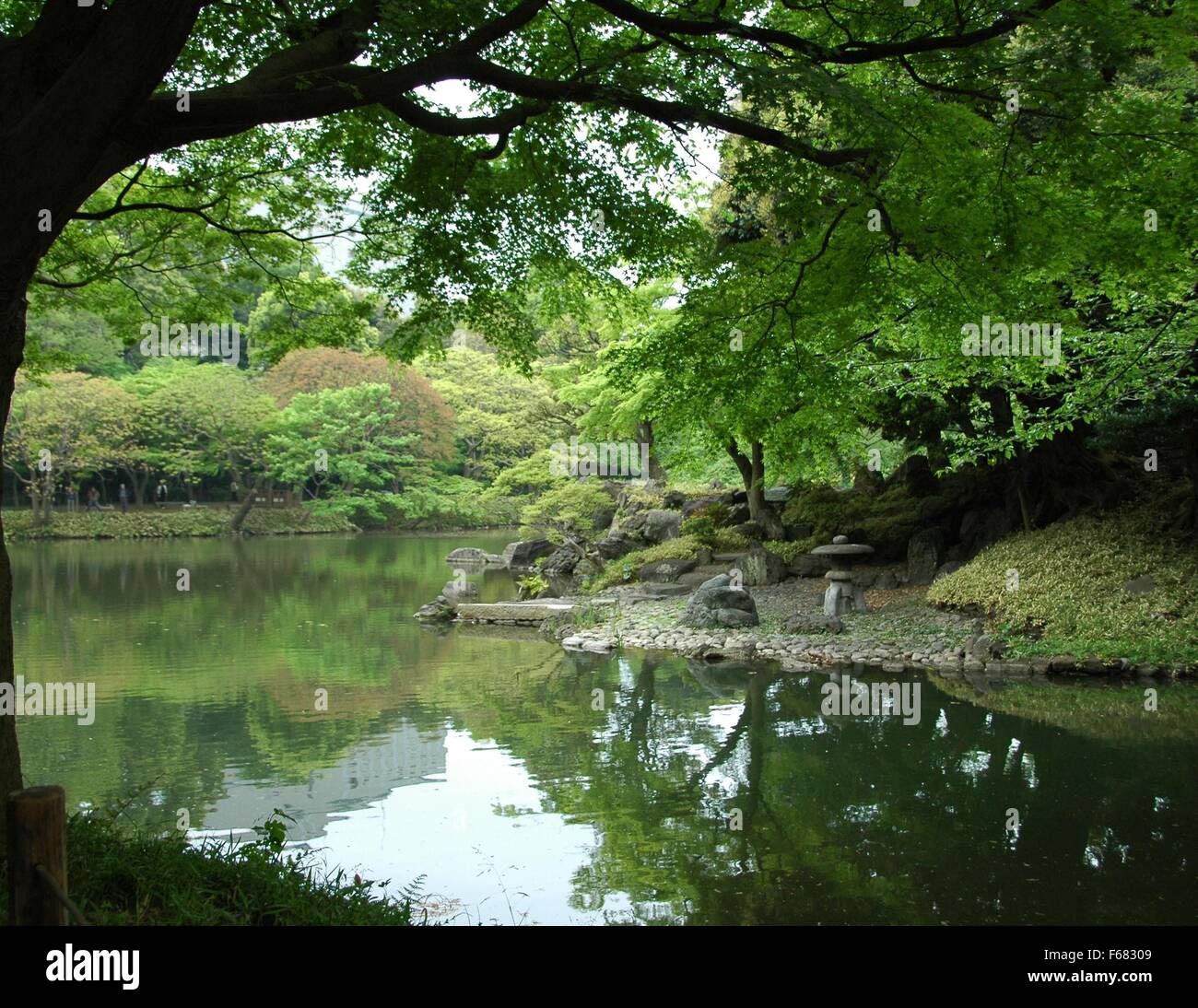 Scenic park views at Koishikawa Korakuen Gardens, Tokyo, Japan Stock ...