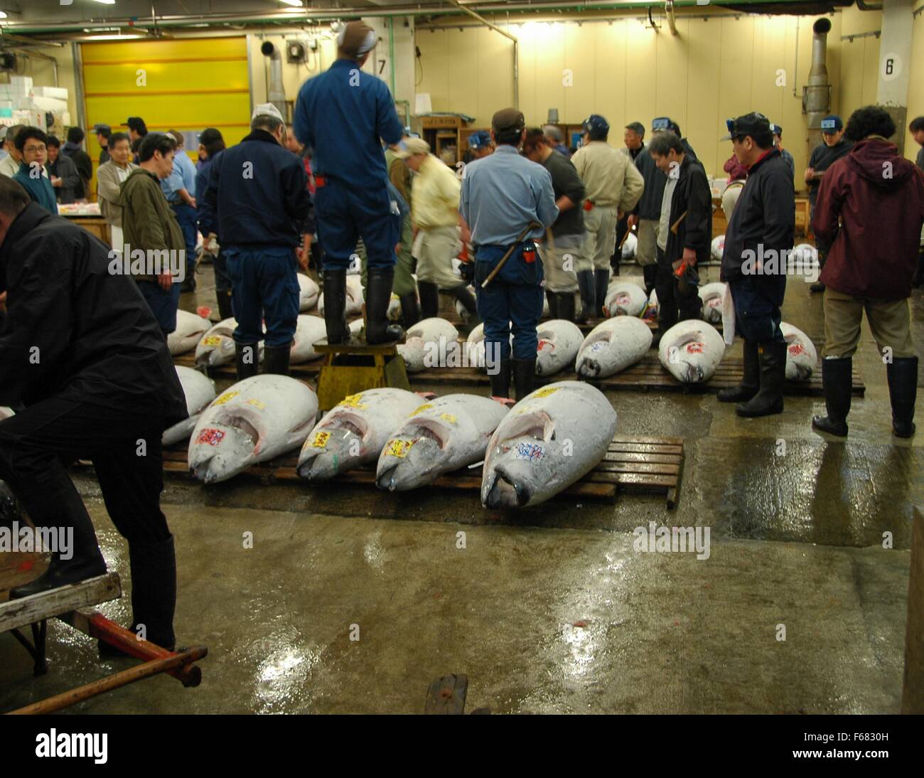 The tuna auction at the Tsukiji fish market, Tokyo, Japan Stock Photo ...