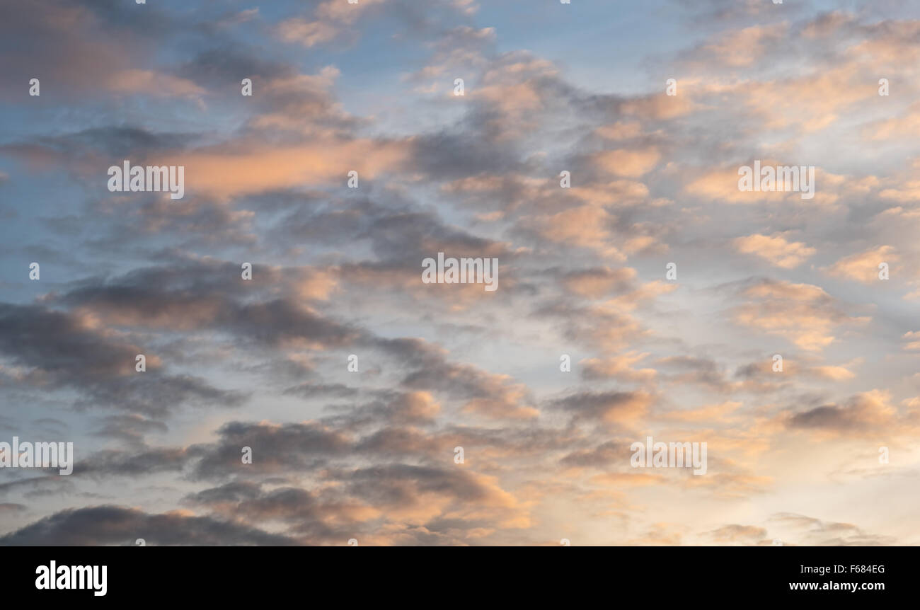 Vanilla colour hi-res stock photography and images - Alamy