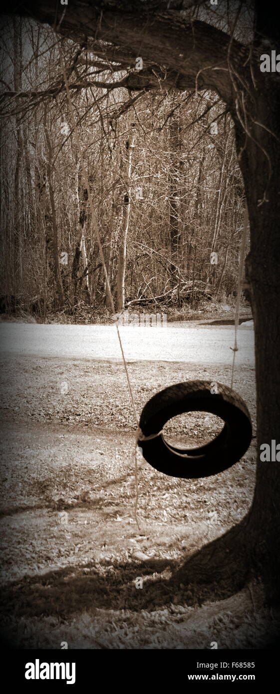 Tire swing tree hi-res stock photography and images - Alamy