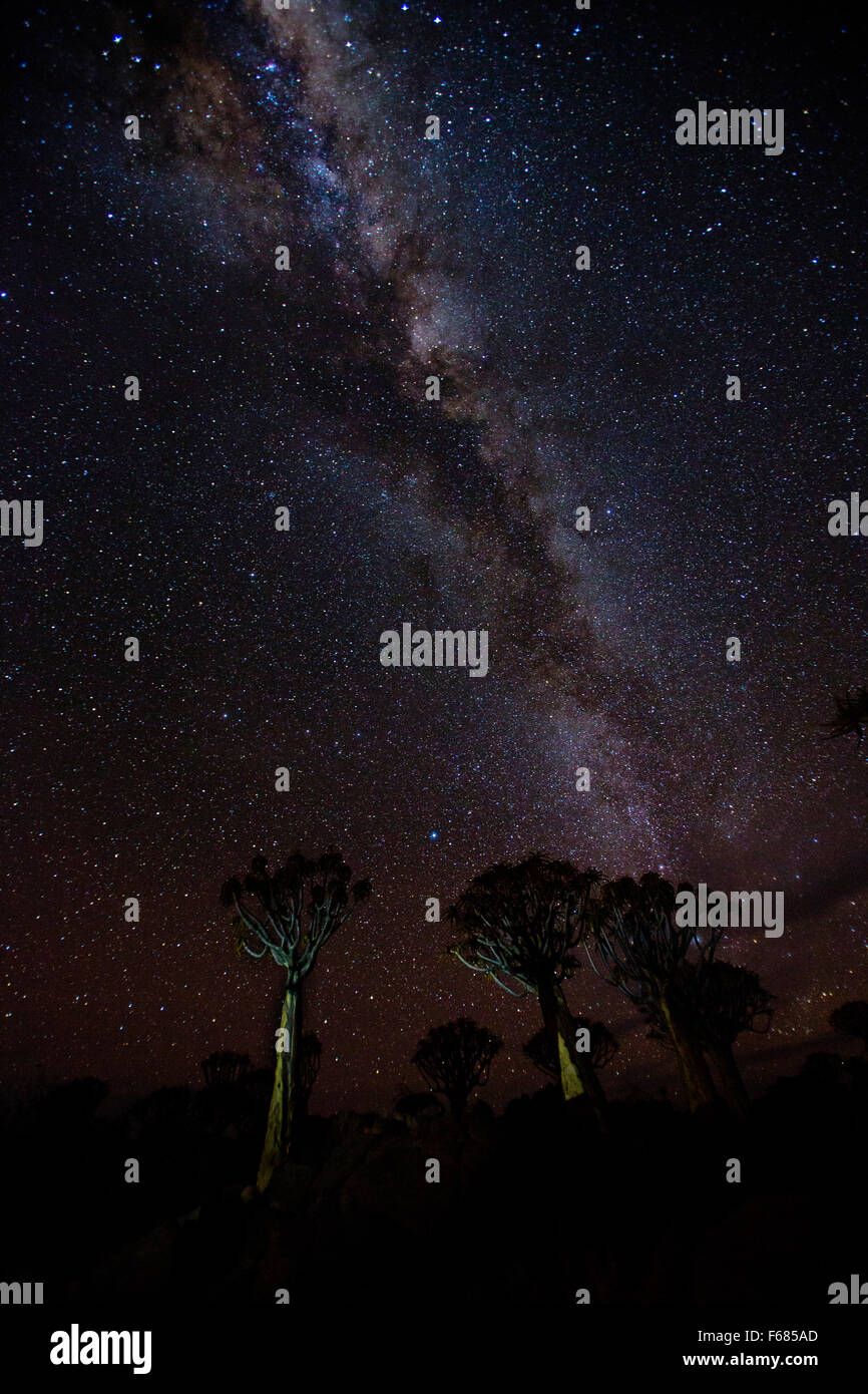 Milky Way sky at Quiver Tree Forest National Monument, Namibia, Africa ...
