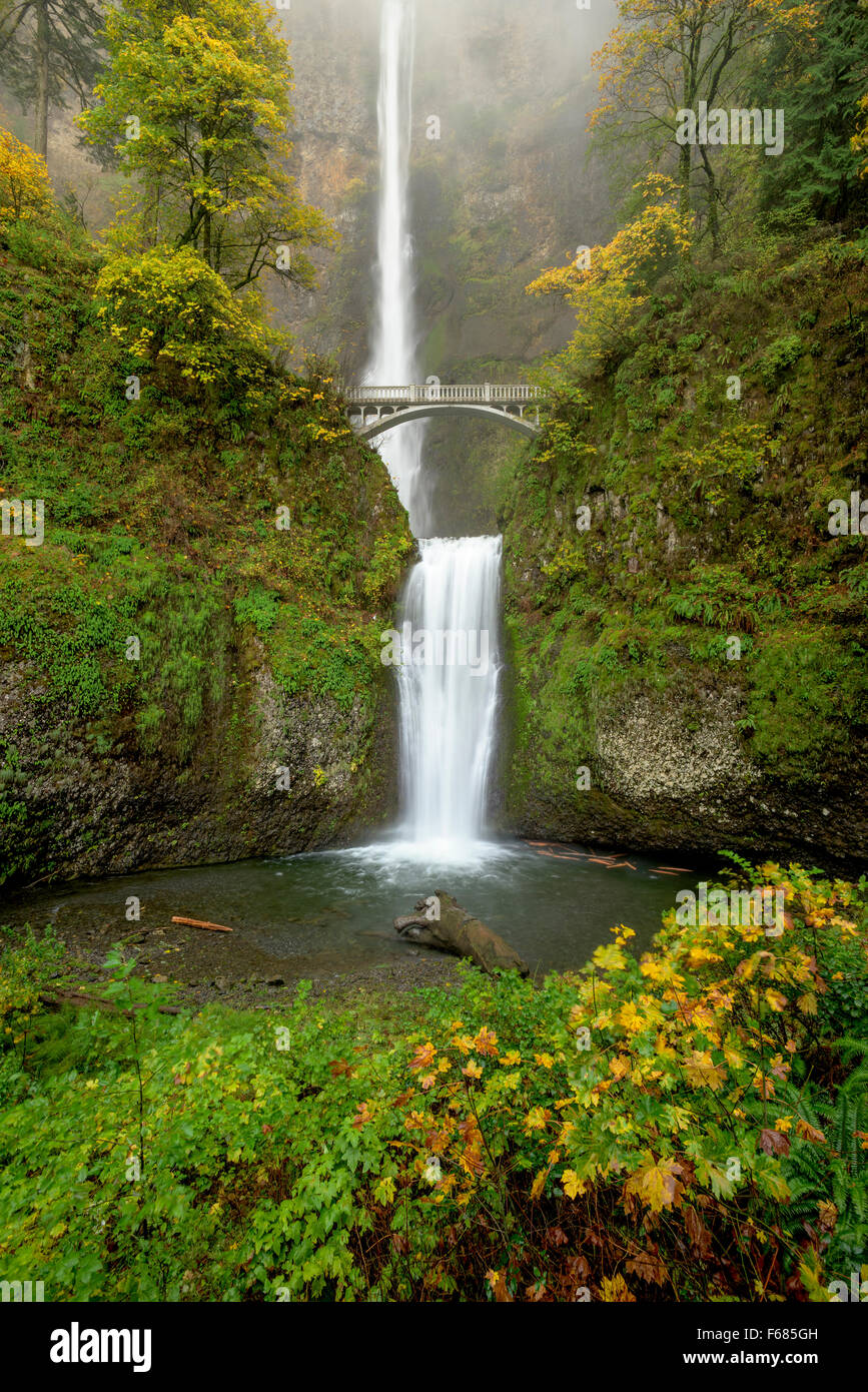 Beautiful waterfall in Oregon with fall colors Stock Photo - Alamy