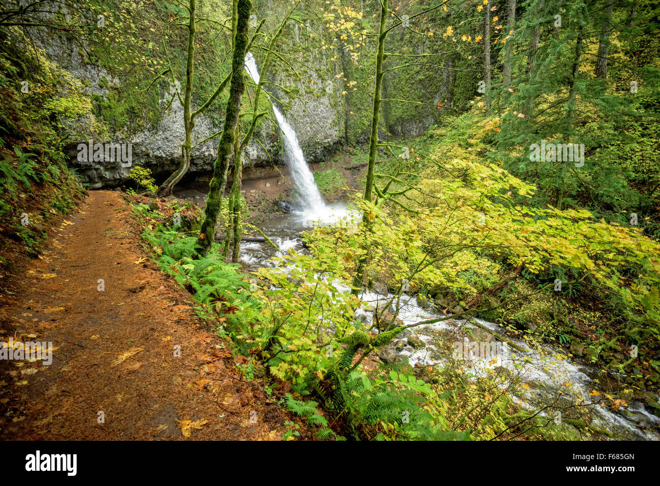 Foot path leads to a beautiful waterfall Stock Photo - Alamy
